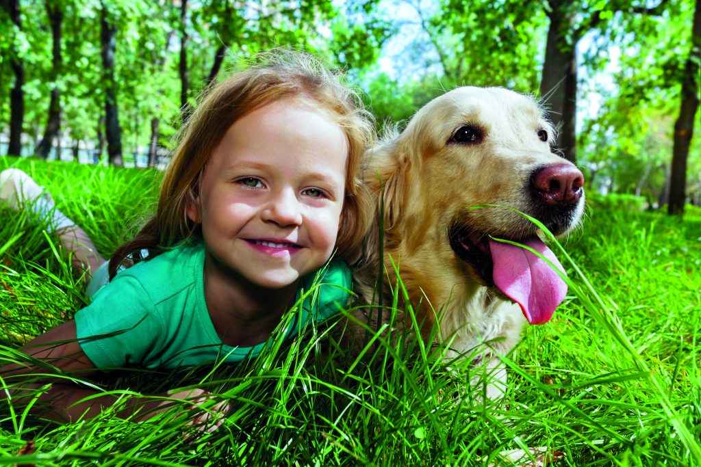 Our solutions for Companion Animals - Ceva Santé Animale