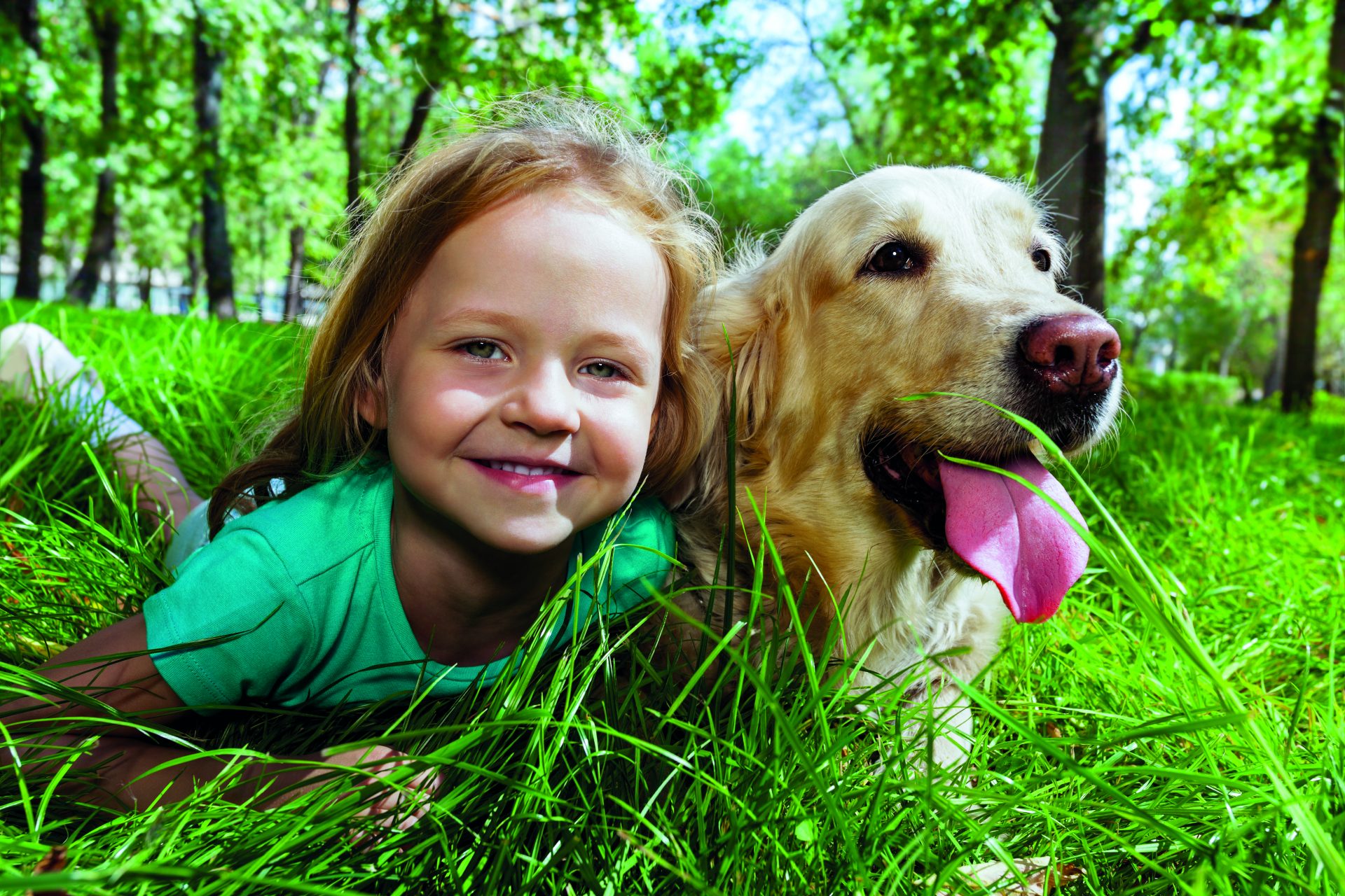 Our solutions for Companion Animals - Ceva Santé Animale