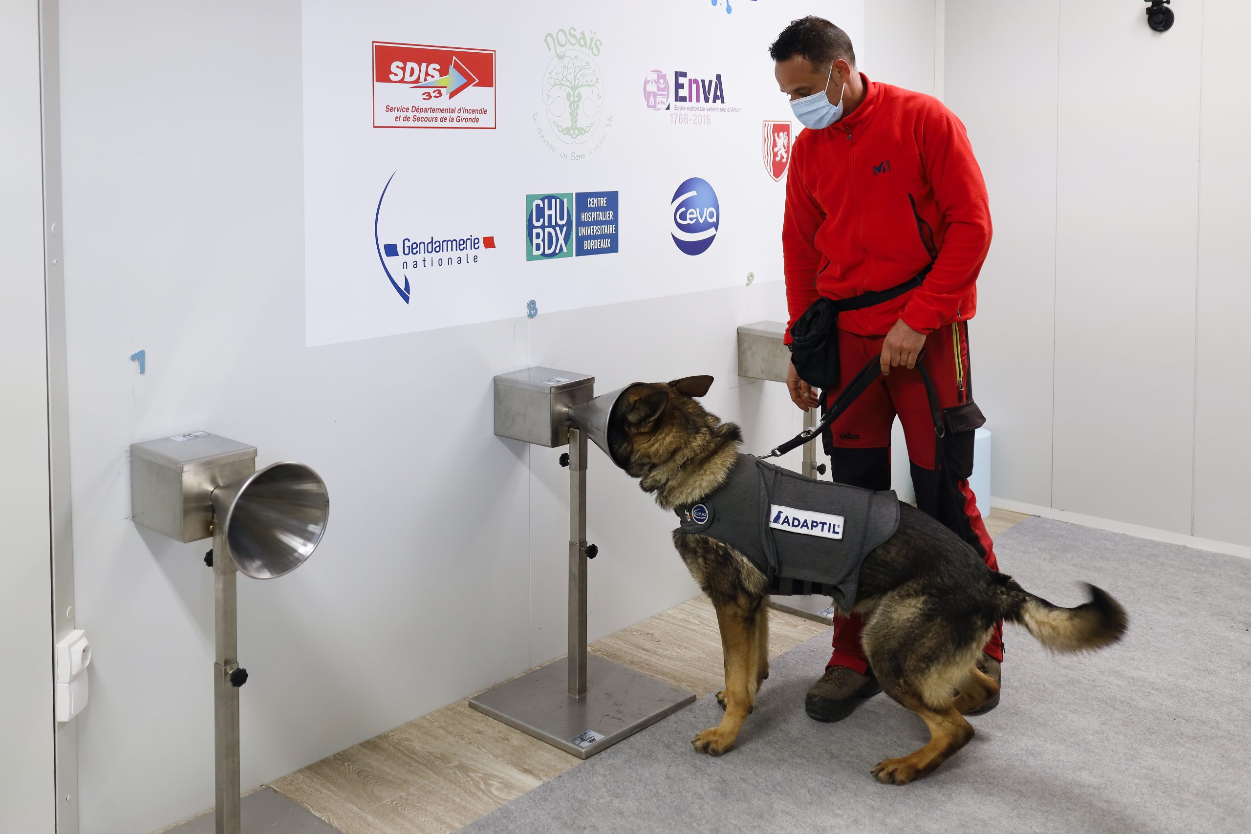 Dogs trained for Covid-19 detection in Nouvelle-Aquitaine, France - Ceva