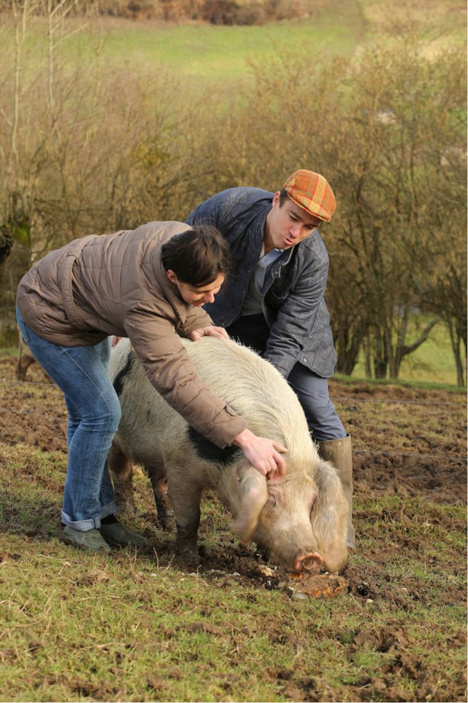 Ceva helps protect Aquitaine’s rich animal heritage - Ceva