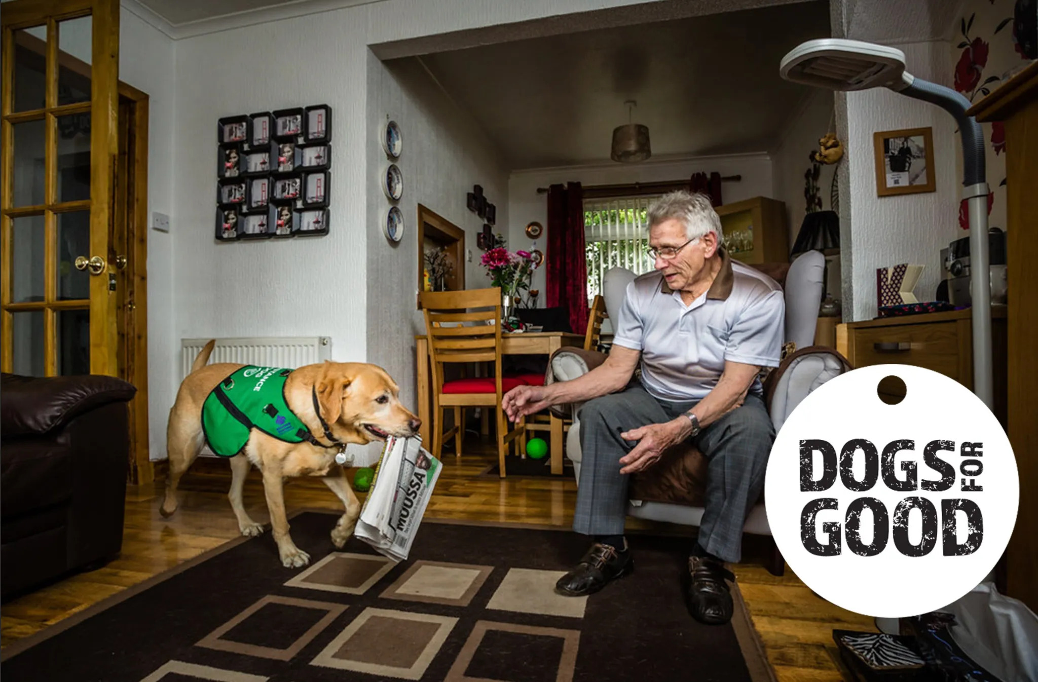 Dogs for Good puts the health and welfare of dogs at the heart of what ...
