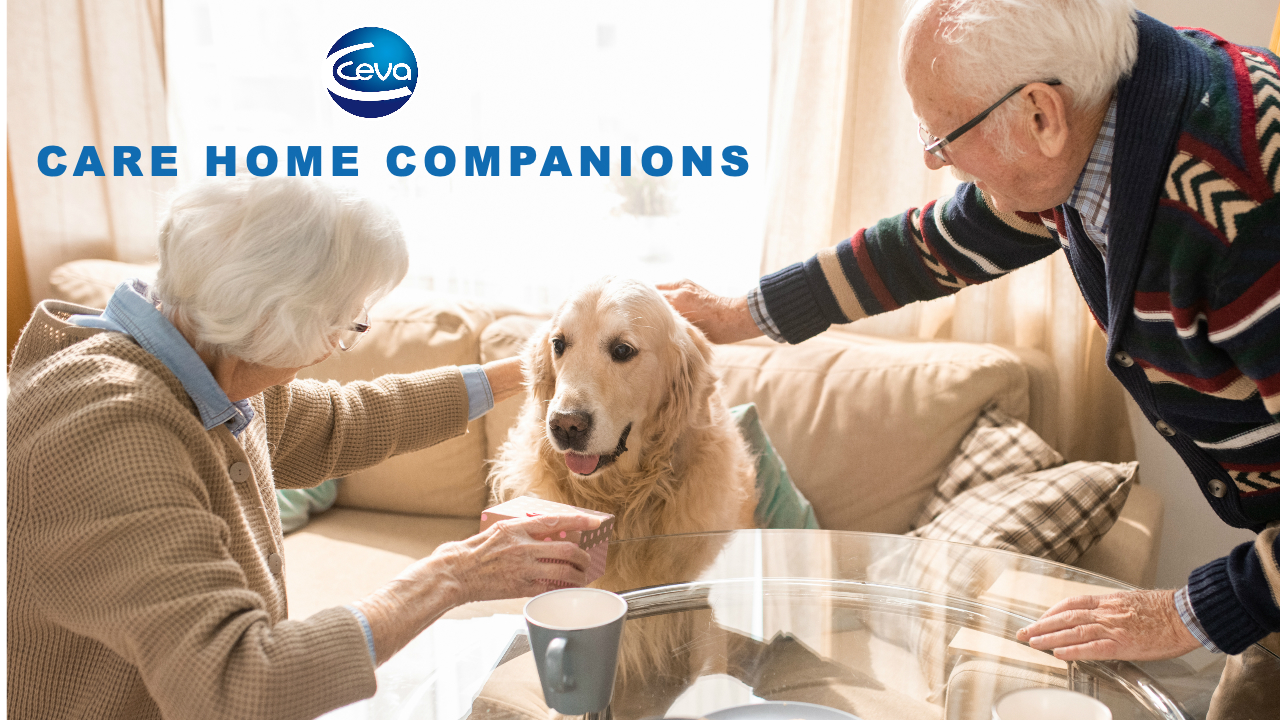 Ceva supports care communities with companion animals - Ceva