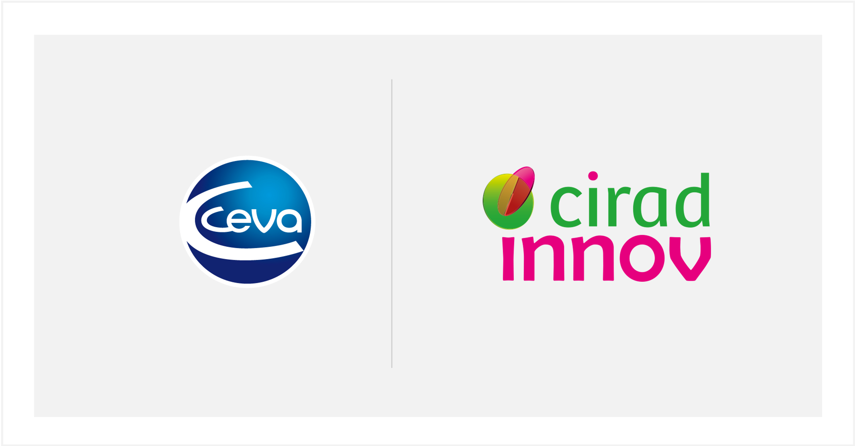 Bringing innovation with Cirad to optimize vaccination strategies